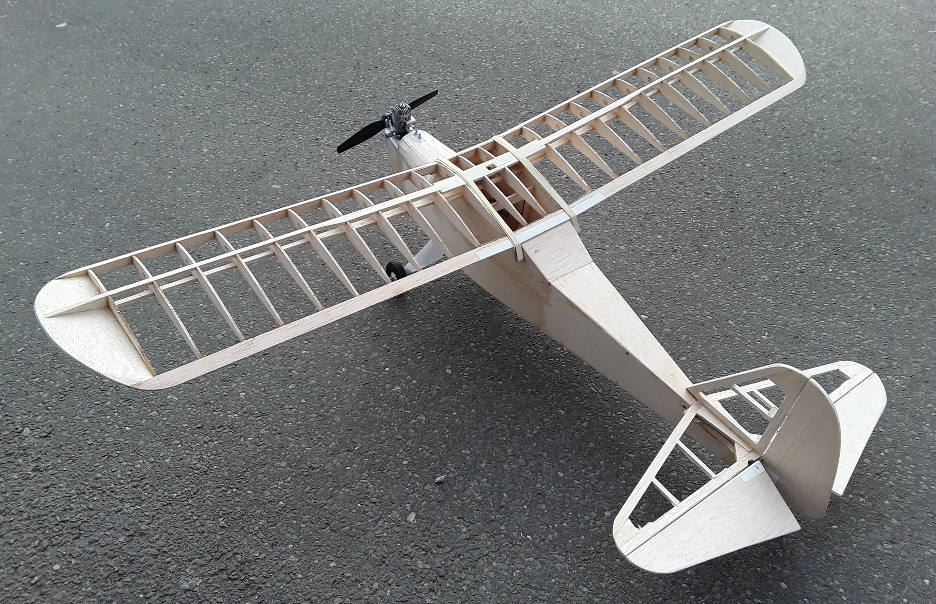 Shop Robbe Rasant - aumann-rc