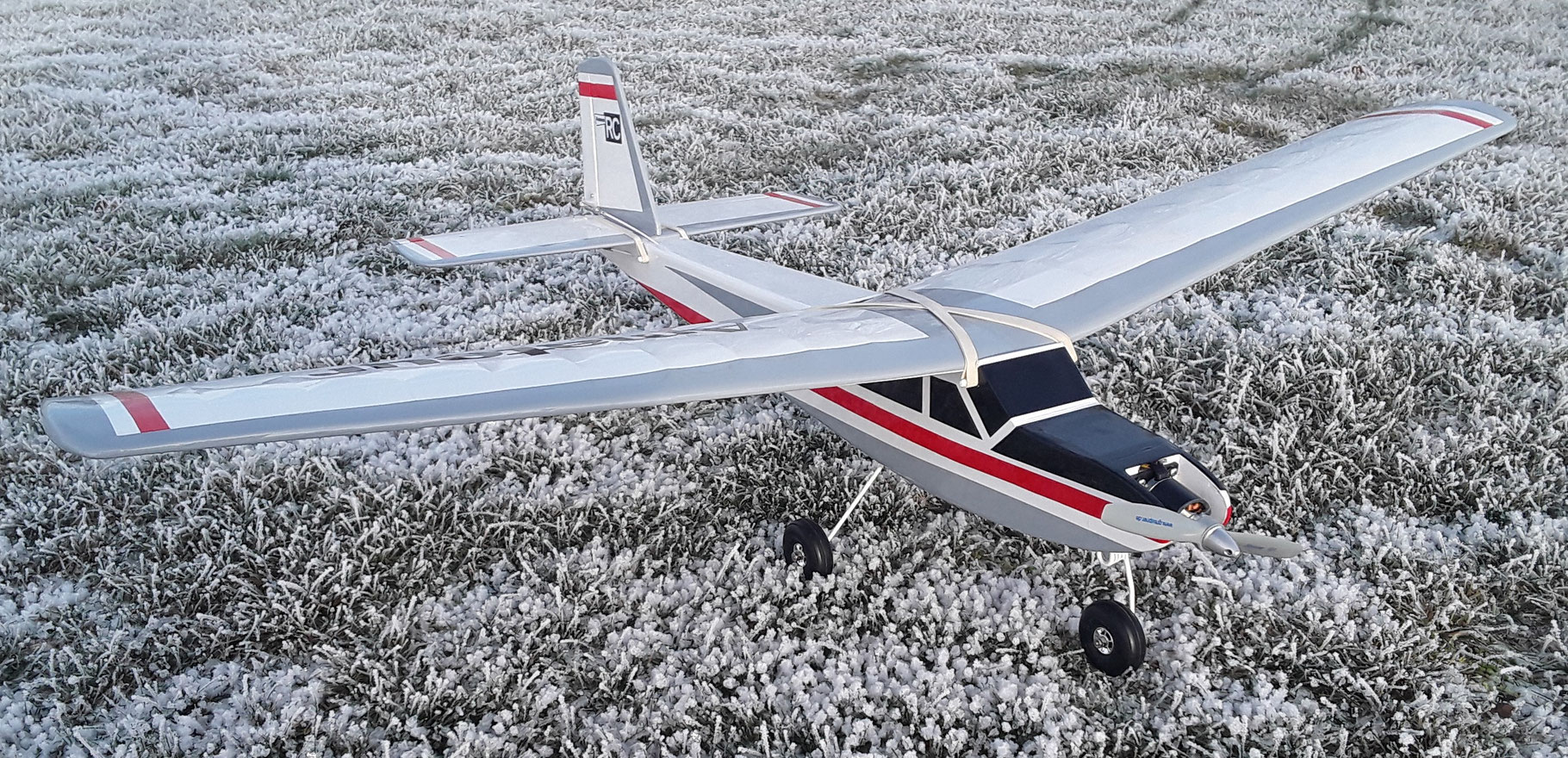 Shop Robbe Rasant - aumann-rc