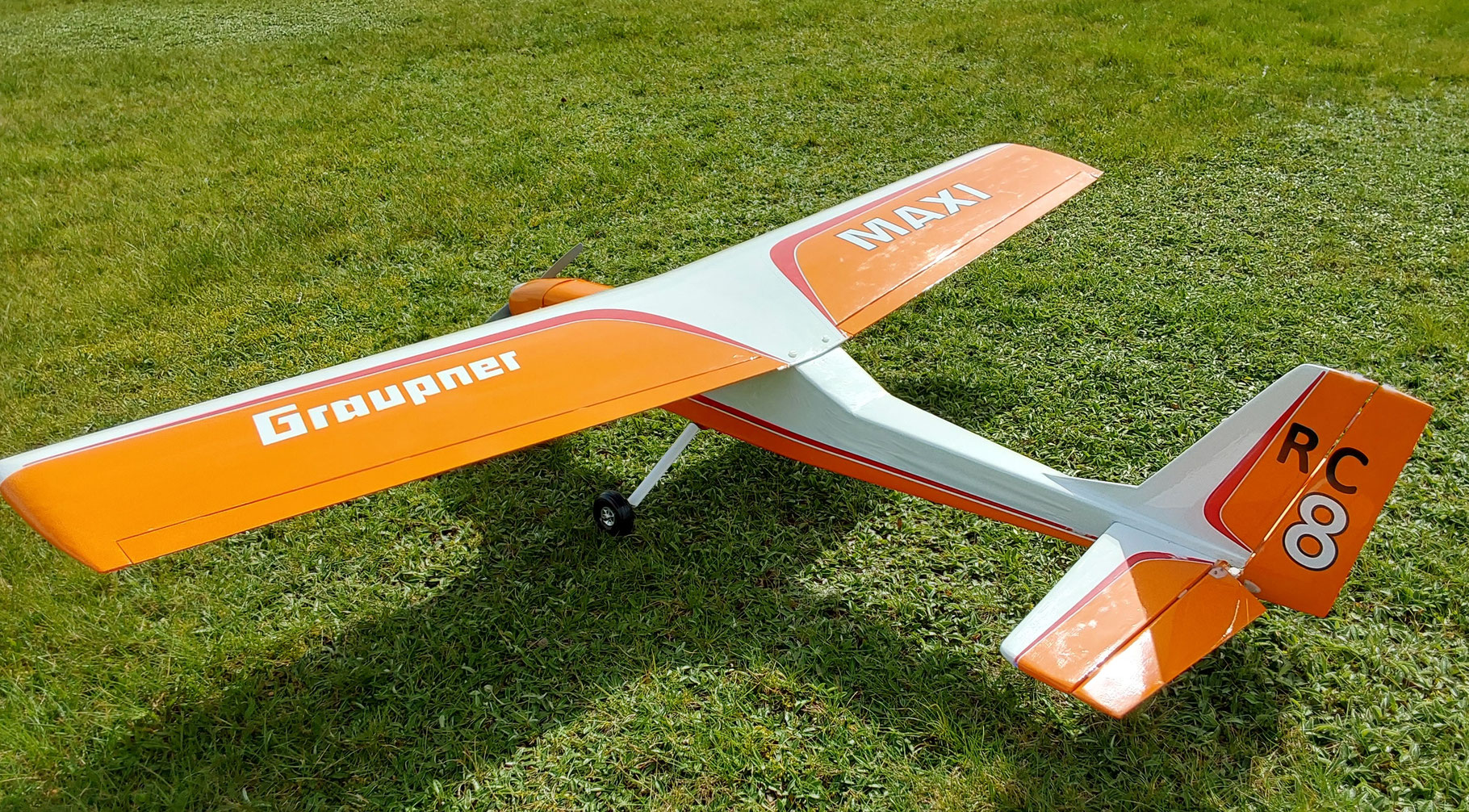 Shop Robbe Rasant - aumann-rc