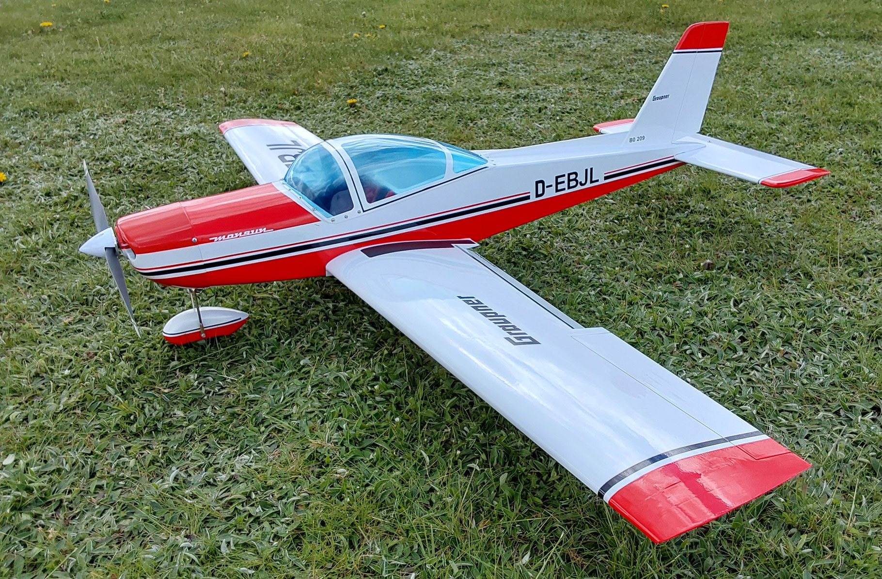 Shop Robbe Rasant - aumann-rc