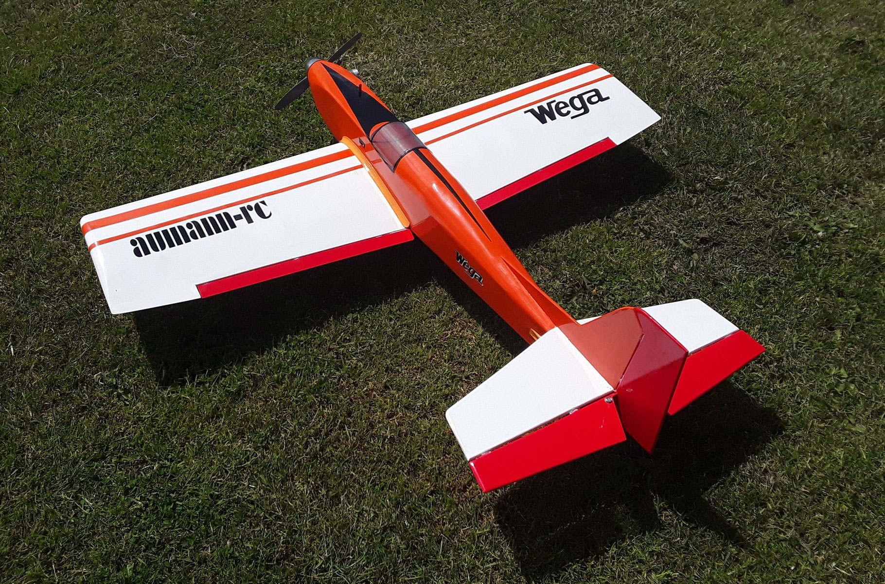 Shop Robbe Rasant - aumann-rc