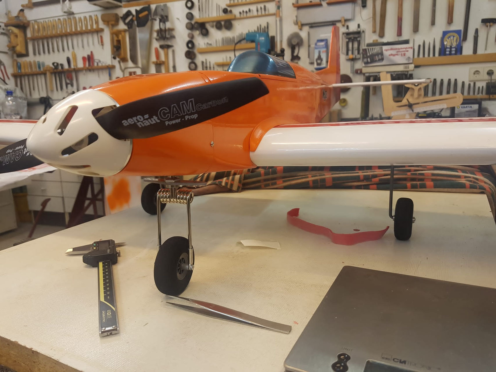 Shop Robbe Rasant - aumann-rc