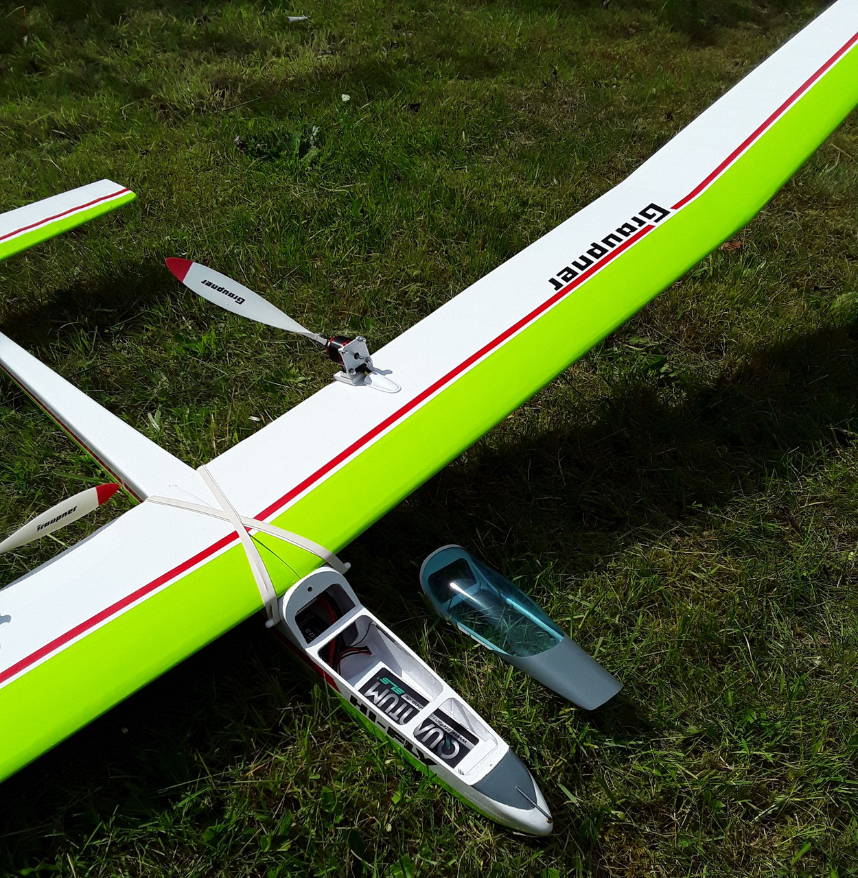 Shop Robbe Rasant - aumann-rc