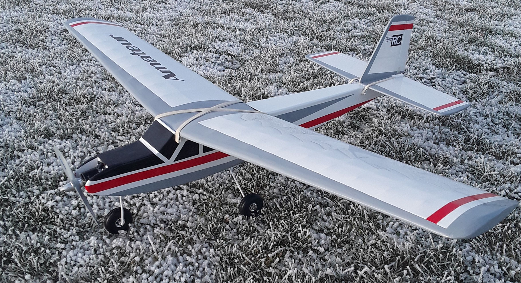 Shop Robbe Rasant - aumann-rc