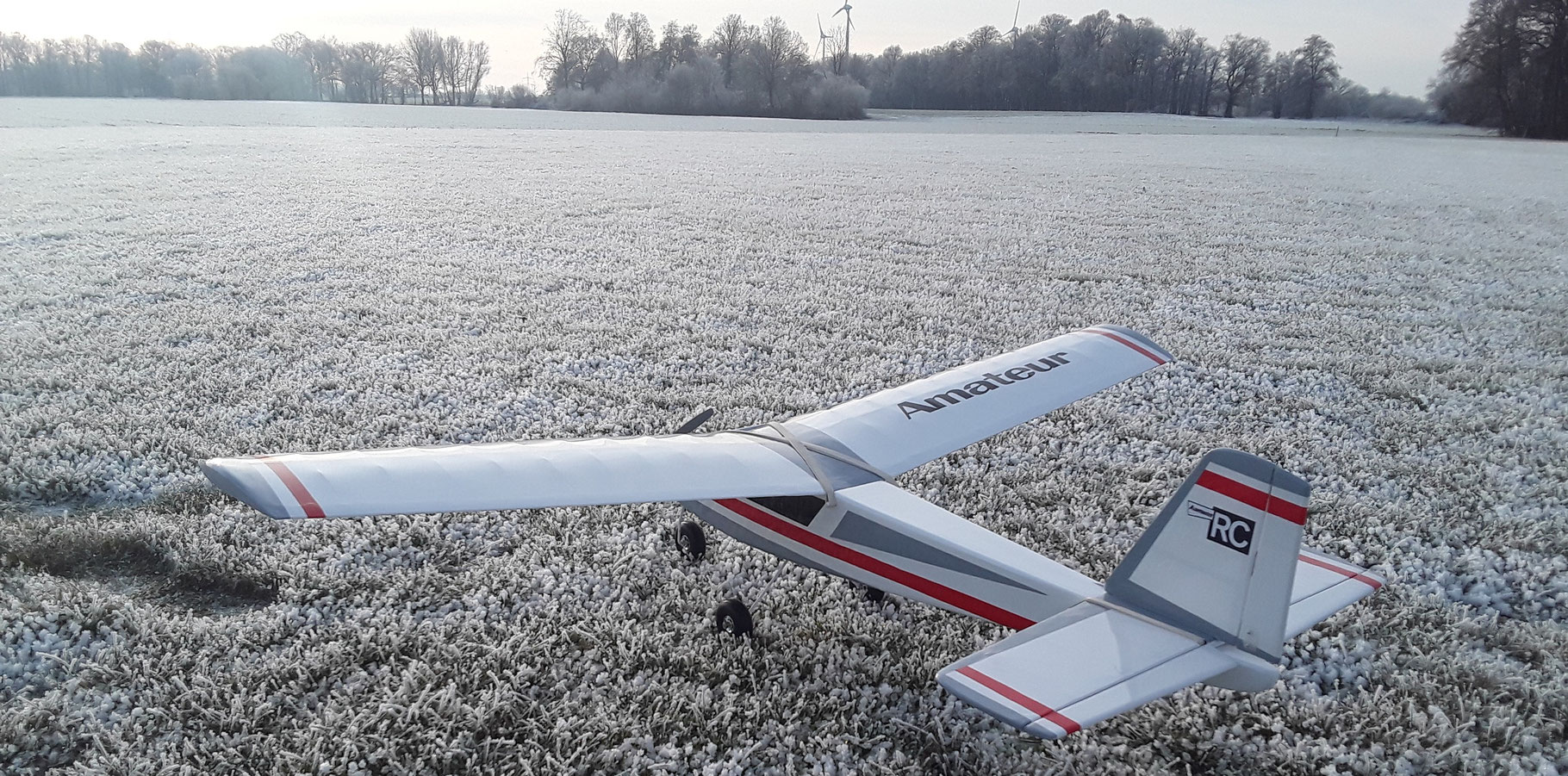 Shop Robbe Rasant - aumann-rc