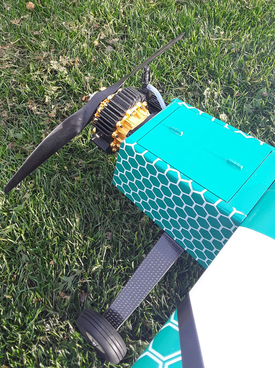 Shop Robbe Rasant - aumann-rc