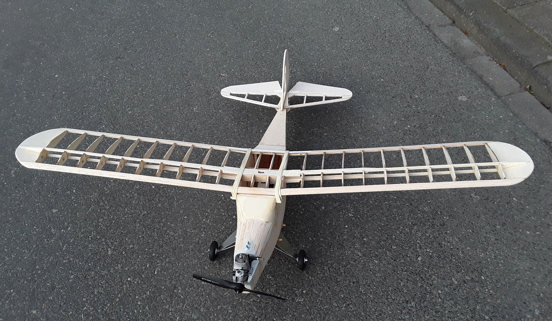 Shop Robbe Rasant - aumann-rc