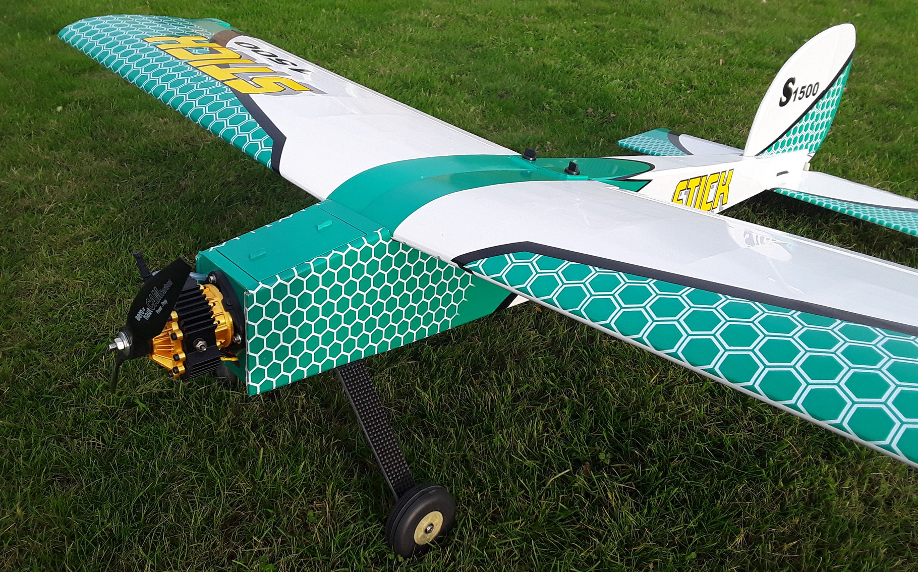 Shop Robbe Rasant - aumann-rc