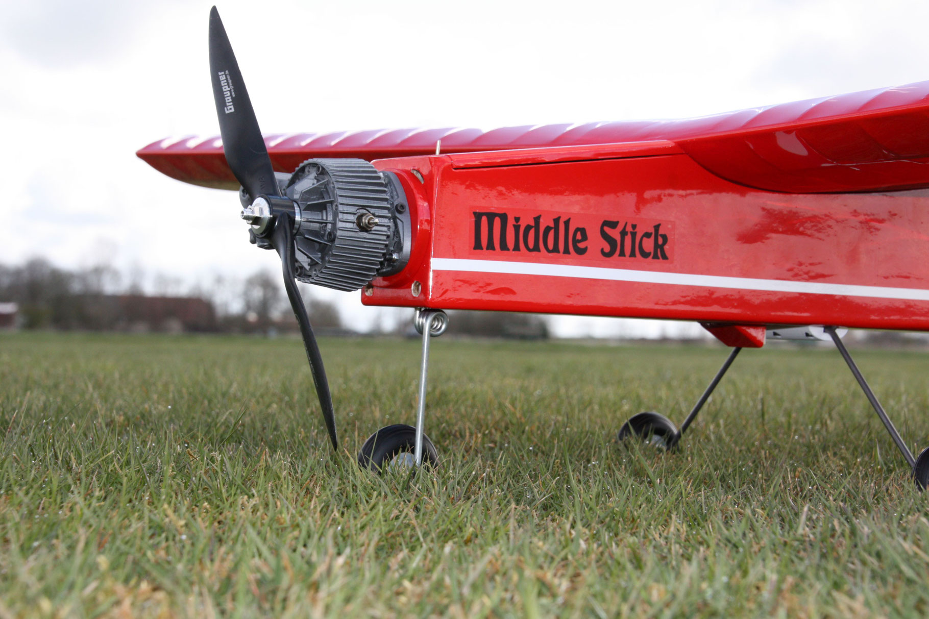 Shop Robbe Rasant - aumann-rc