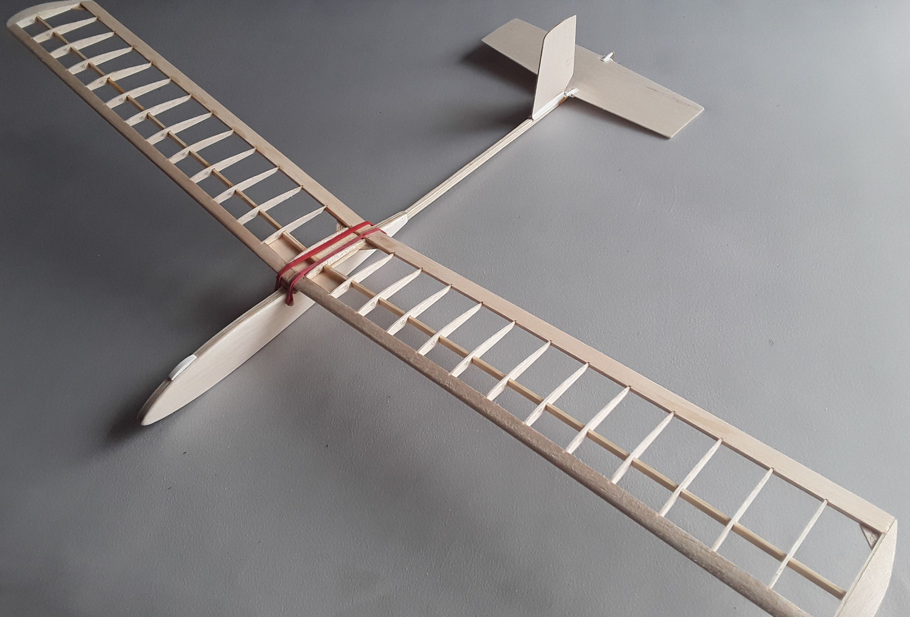 Shop Robbe Rasant - aumann-rc