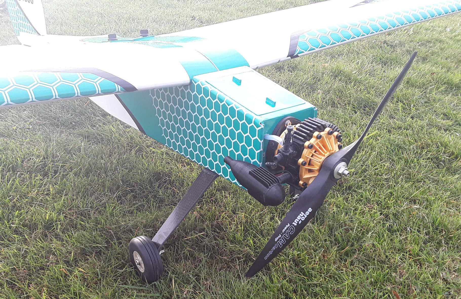 Shop Robbe Rasant - aumann-rc