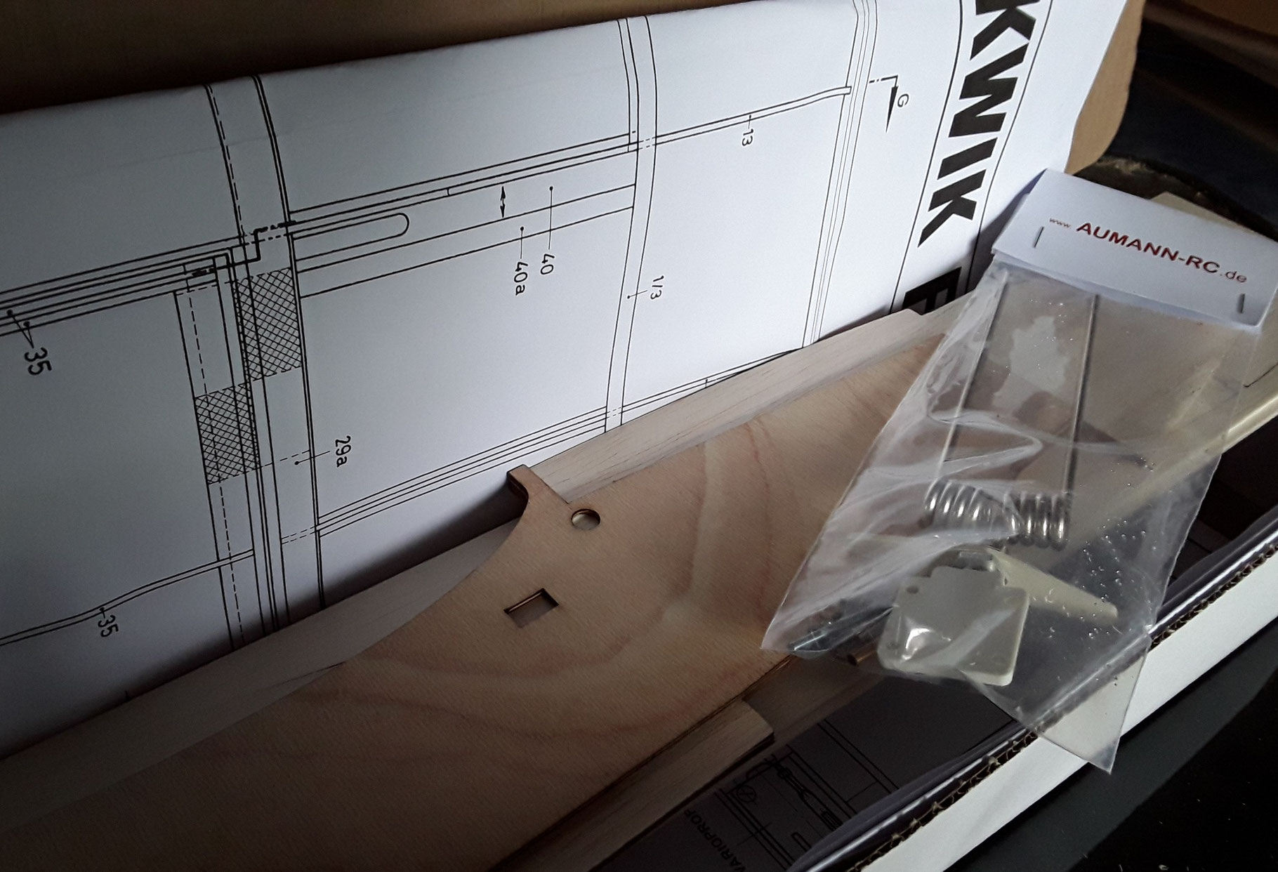 Shop Robbe Rasant - aumann-rc