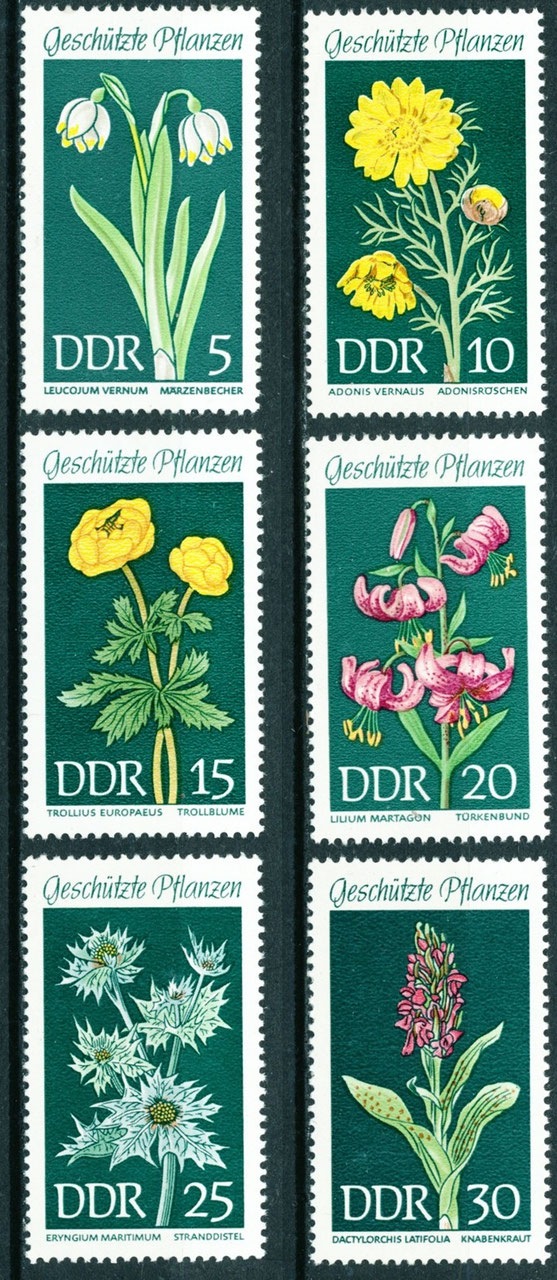 Briefmarken Ddr Geschützte Pflanzen | sweetiepiesnluk