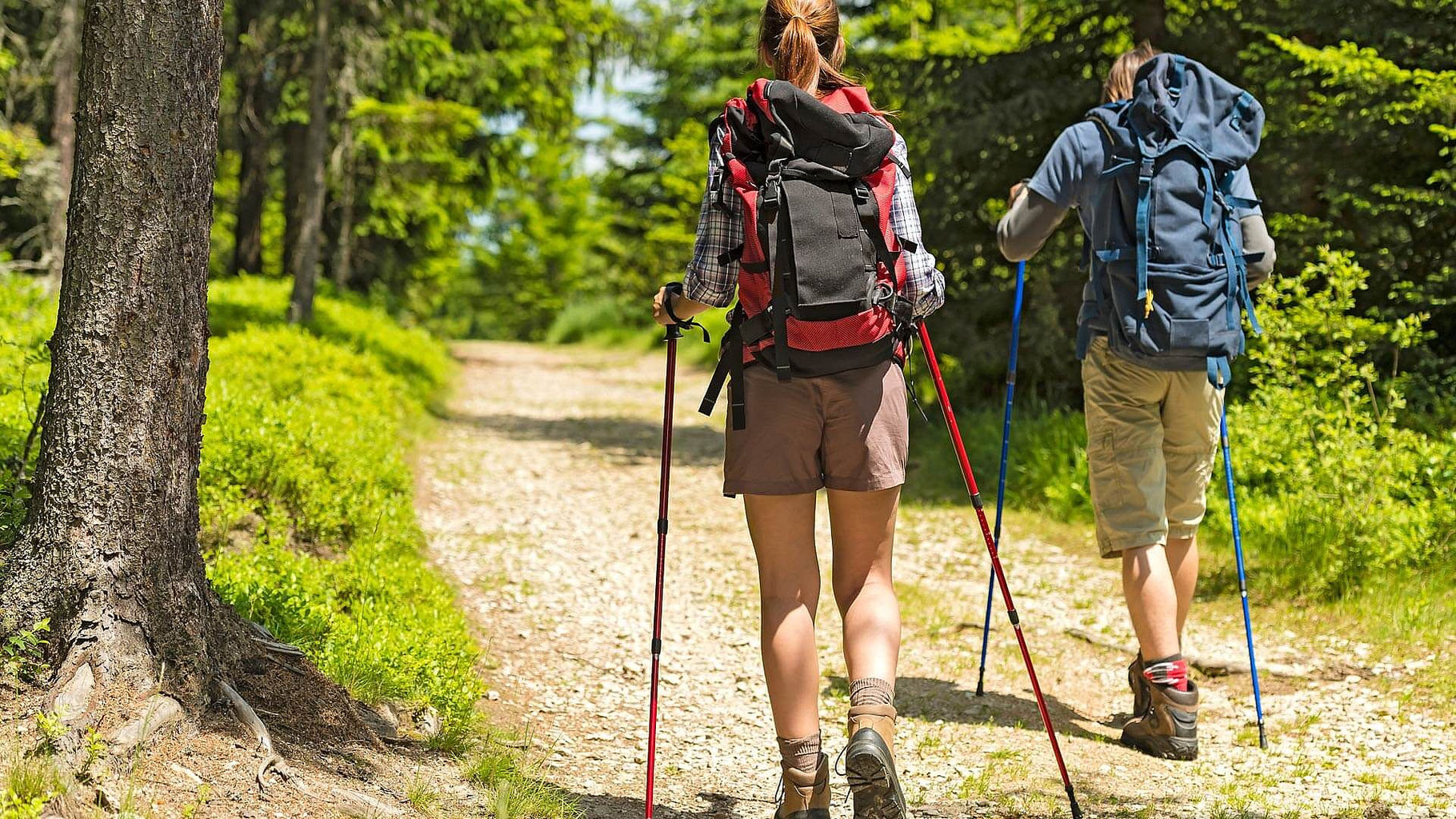 WE Walk & Talk - Wienerwald English
