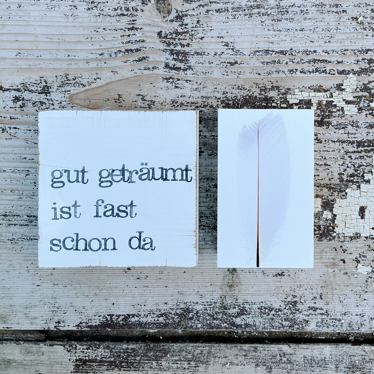 Flopla Kombi 03 - iopla fotoplatten und textplatten