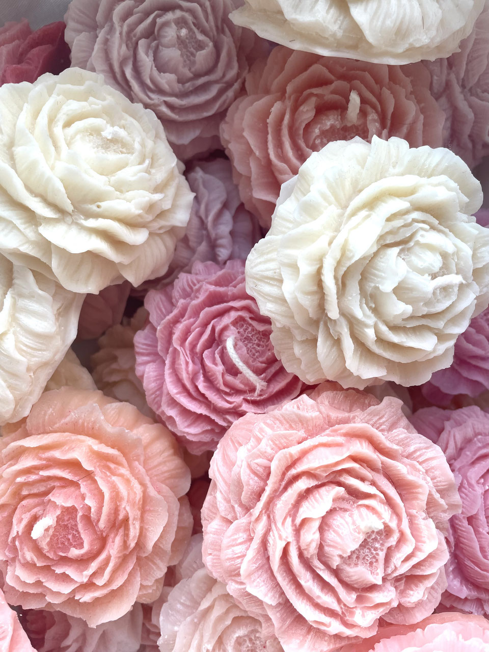 Online-Shop Rustic Chic. Garden Vintage - Mary´s Company