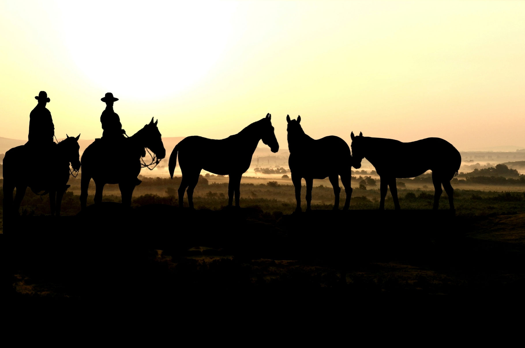 Cowboy Cookout and Trail Ride - rockranchrides