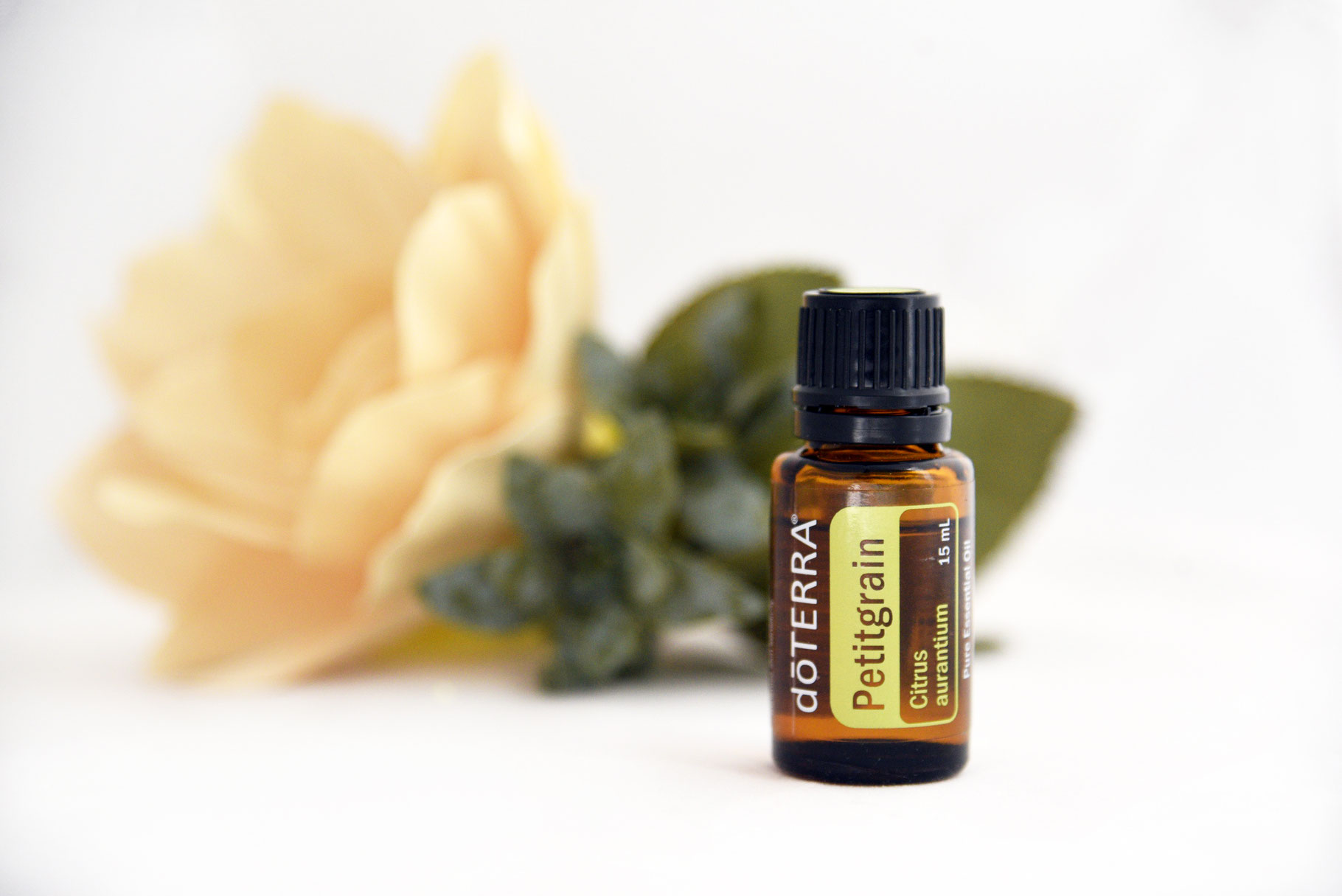 Aroma Welt │Petitgrain Oil - Petitgrainöl - Petitgrain ätherisches Öl ...