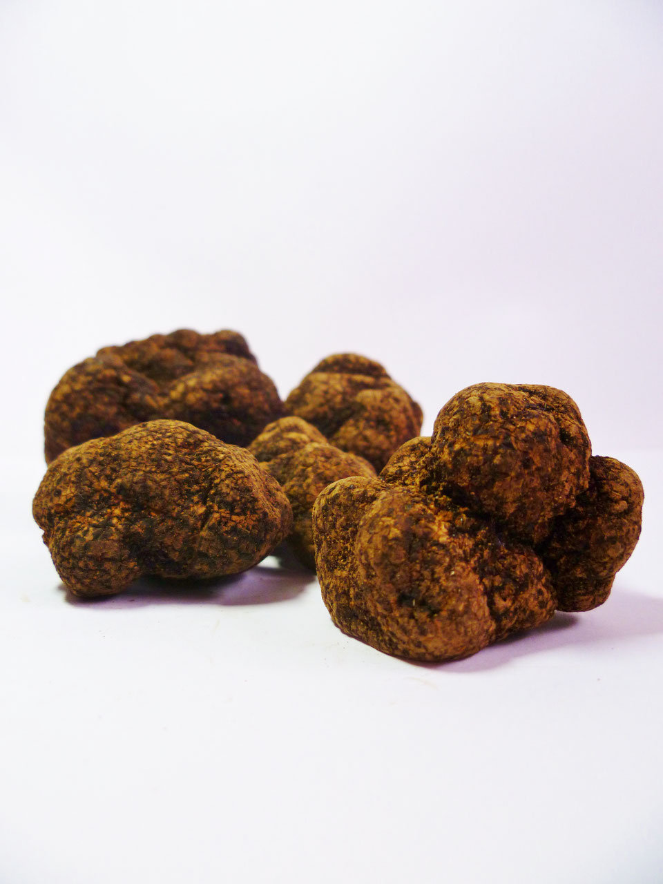 Frische Tuber Indicum ganze Knollen - waldmanns-trueffel-und-fes Webseite!