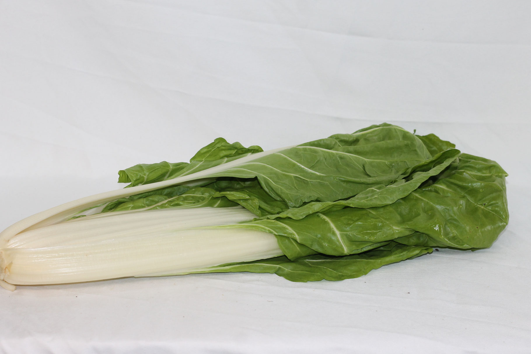 Acelga - Compra Verduras Online de Navarra Descubre nuestra tienda de ...