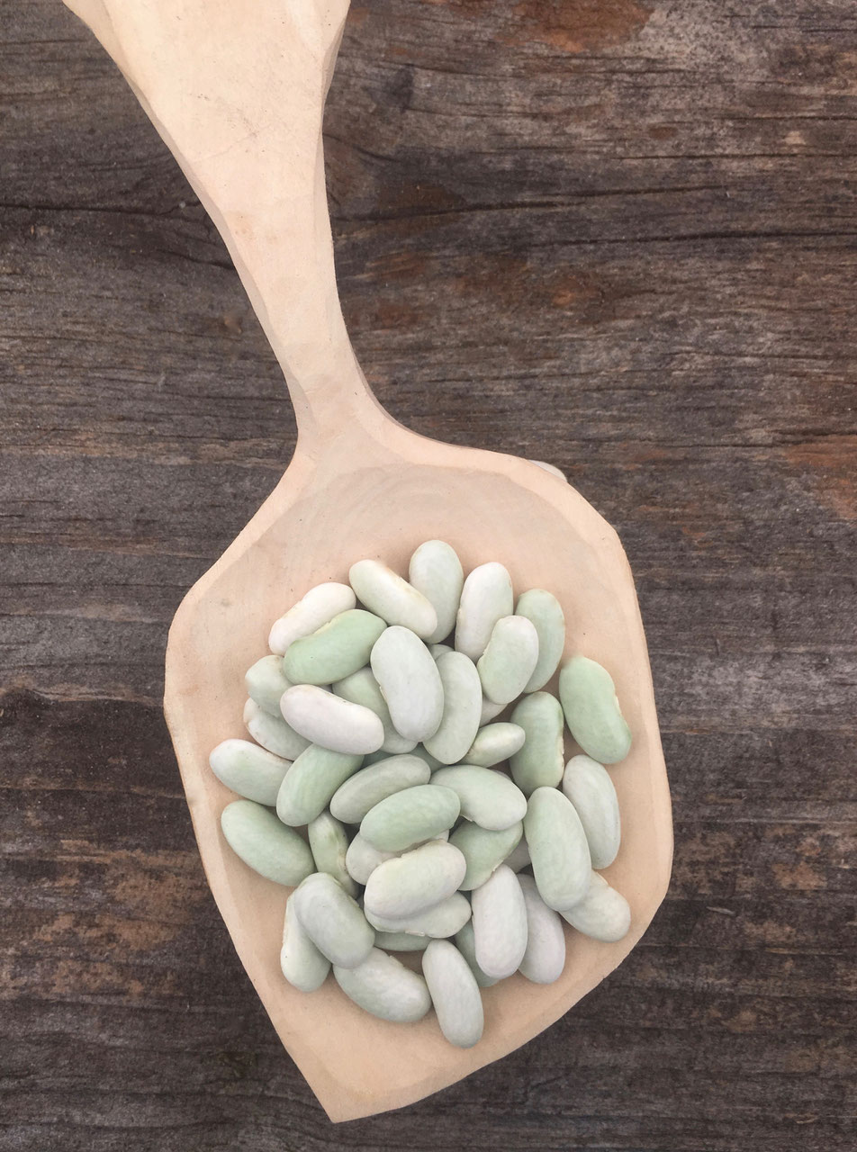 Beans - Baer's Best Beans