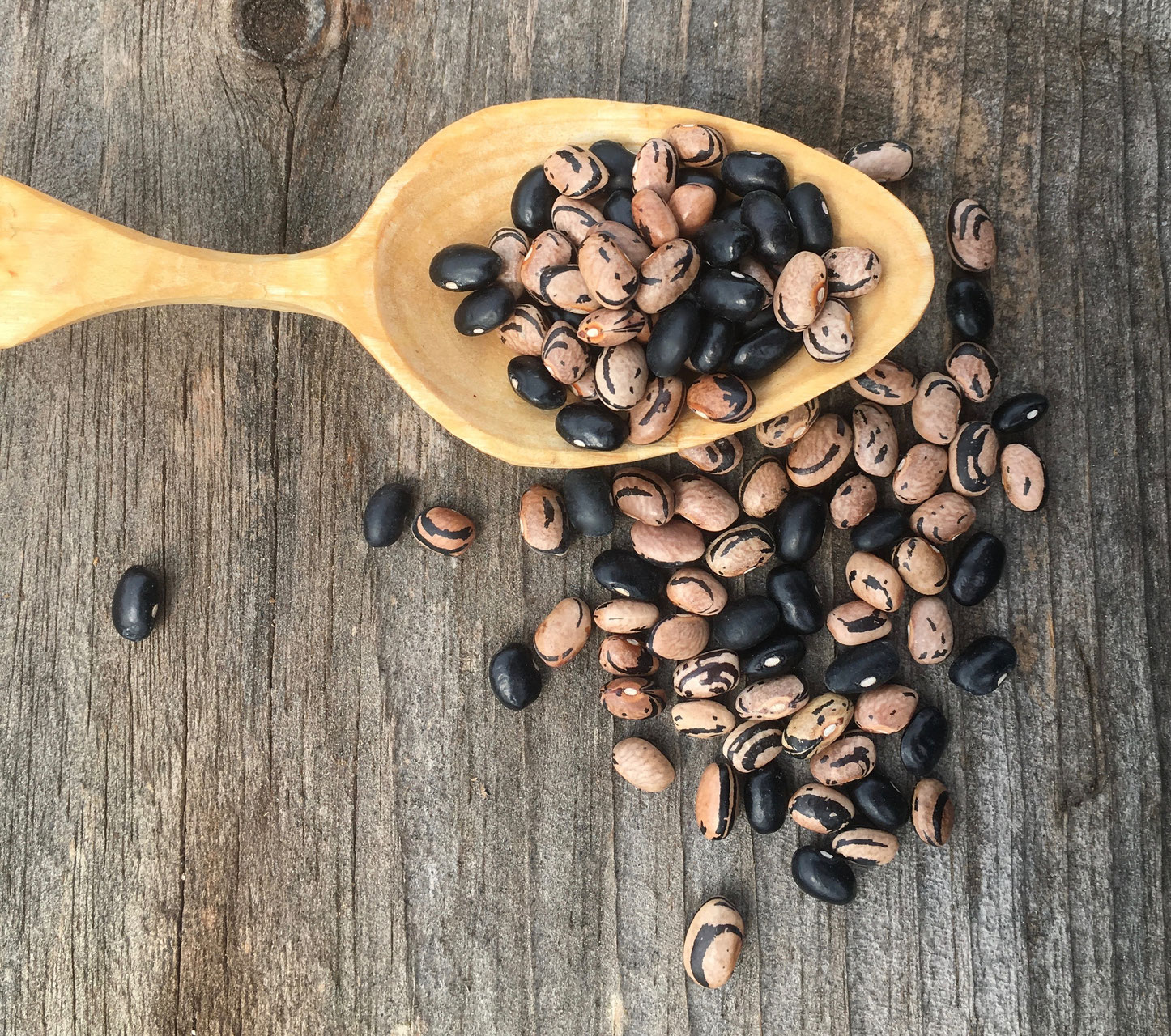 Beans - Baer's Best Beans