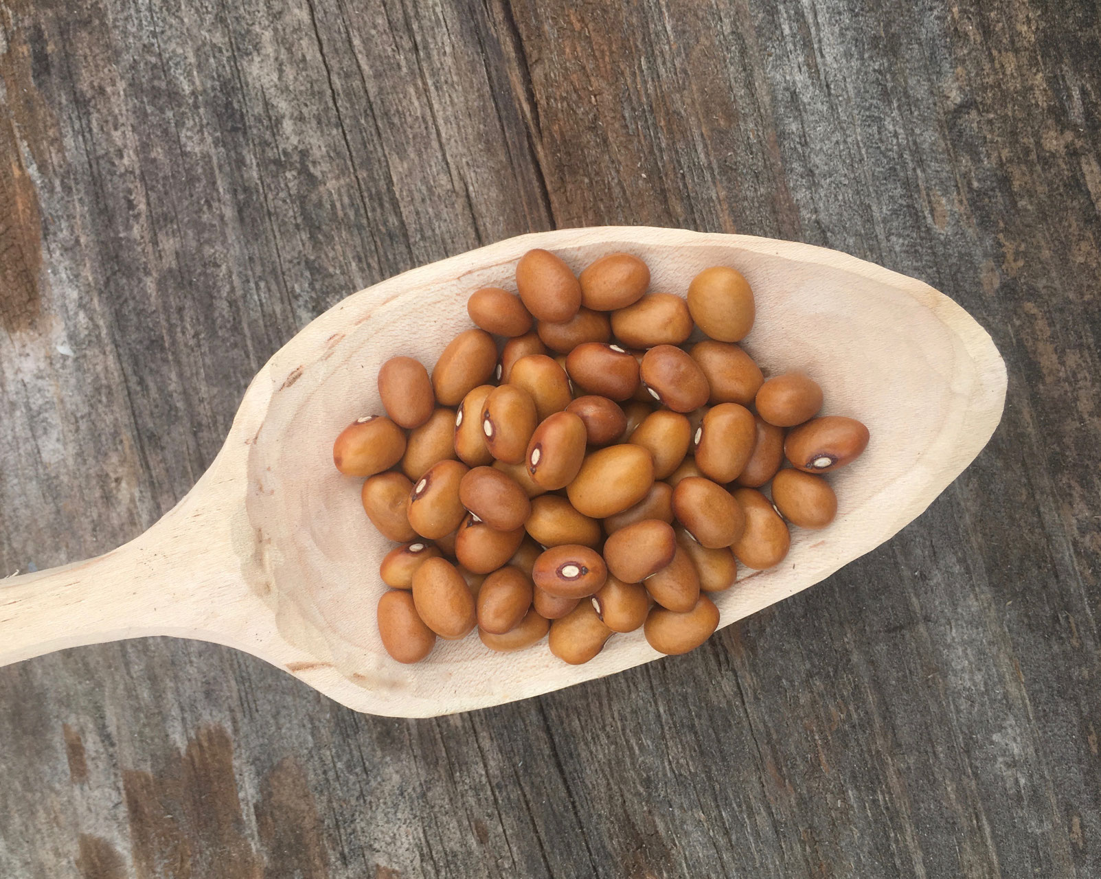 Beans - Baer's Best Beans