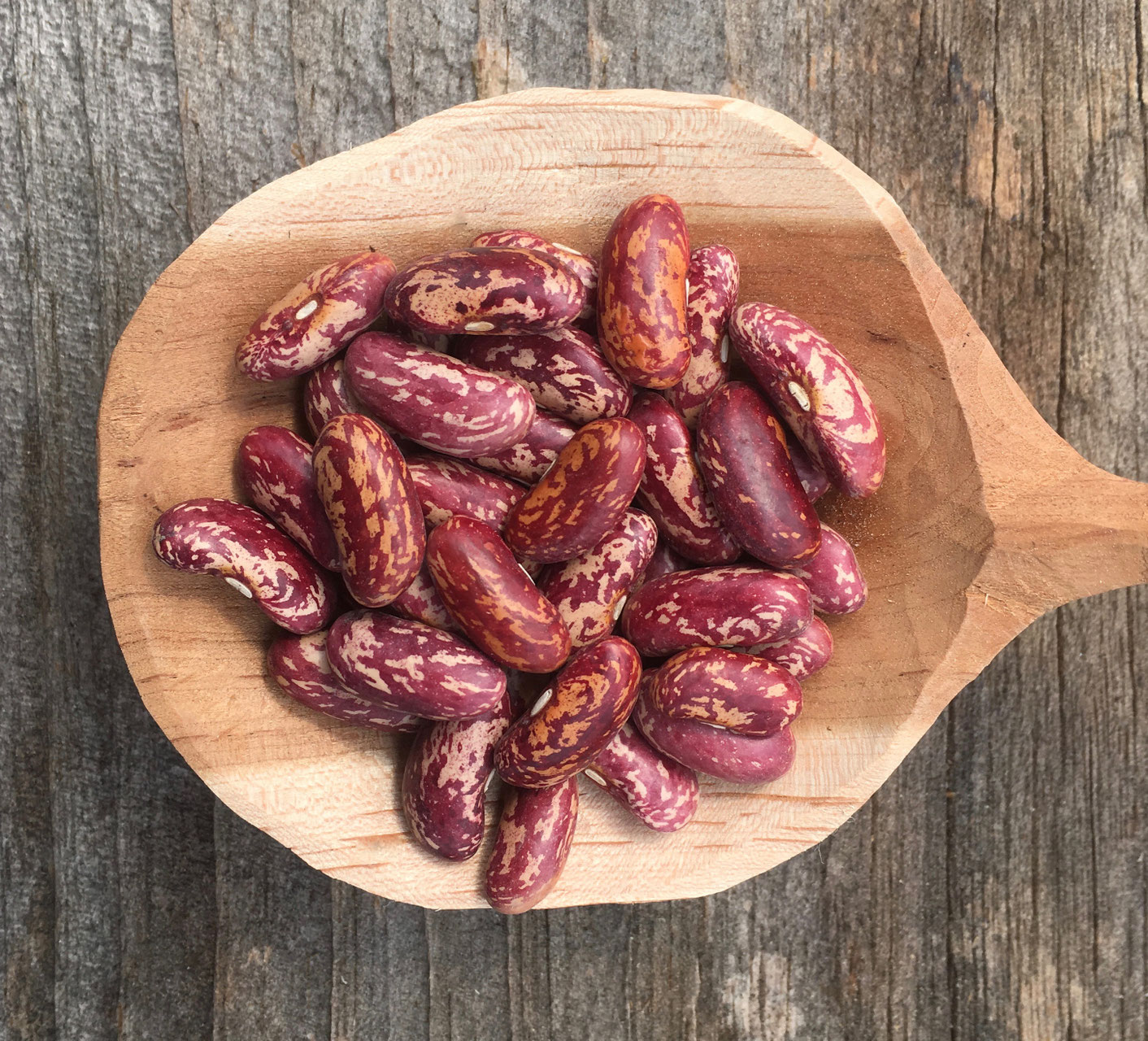 Beans - Baer's Best Beans