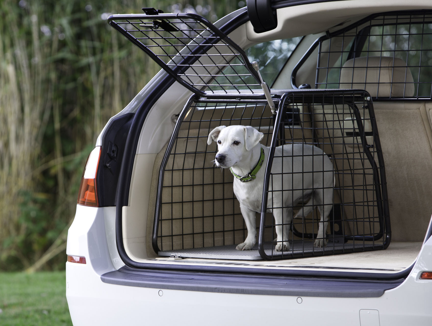 Hundebox Small - Hund im Auto