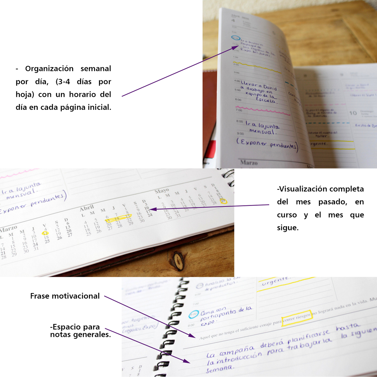 Agenda de piel genuina 2025 - Insignius Mexico