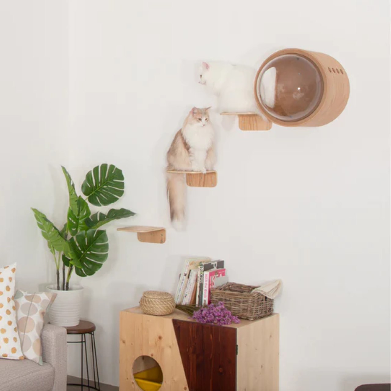 MYZOO-LACK（2pcs）S/M - キャットステップ販売・施工