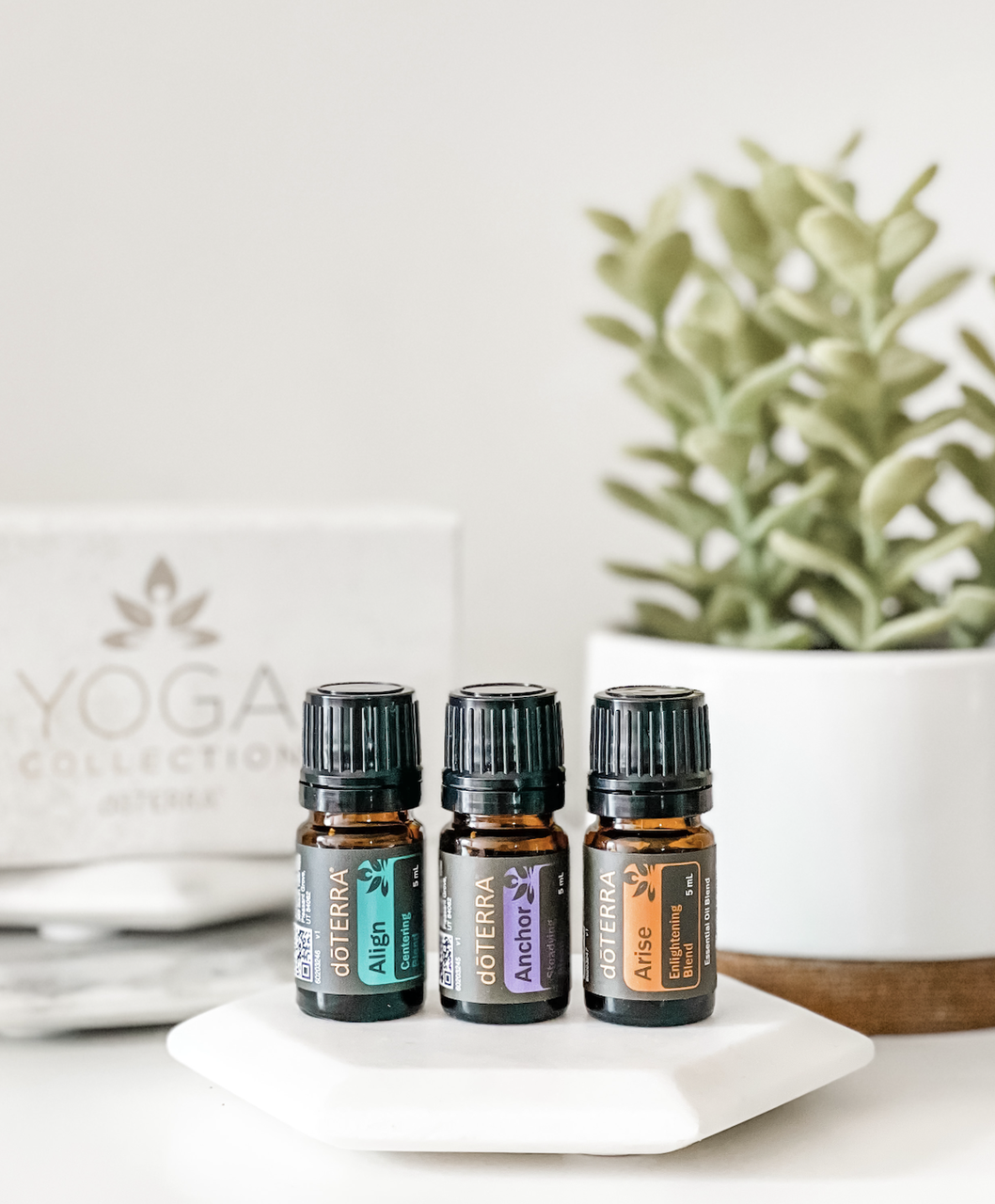 Aroma Welt │doTERRA Anchor Yoga Öl: Stabilisierende Mischung - doTERRA ...