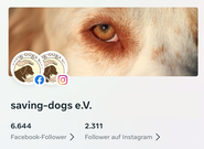 Saving Dogs - saving-dogs e.V.