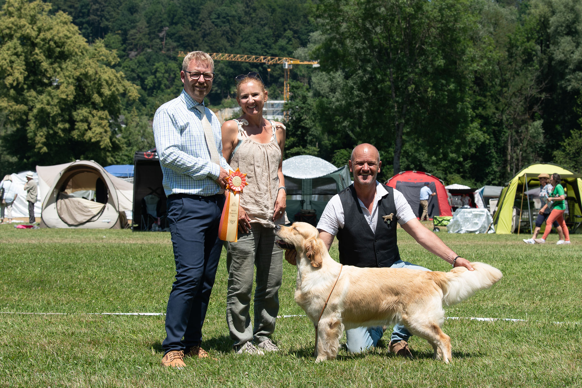Was ist los in unserer zuchtstätte - Golden Retriever Zucht in Tirol