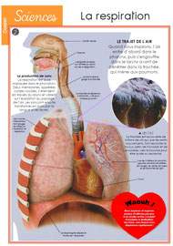 LA RESPIRATION - laclasse2delphine