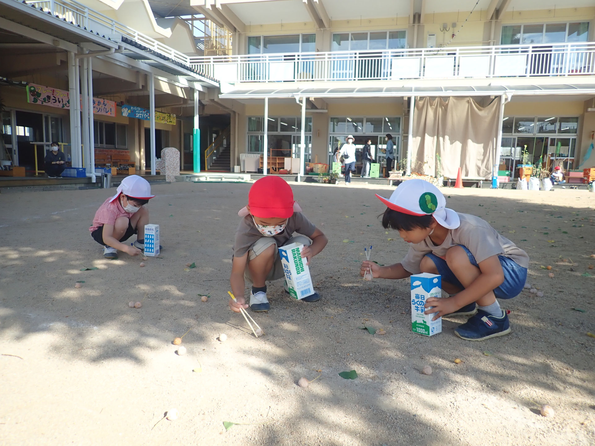 母なるイチョウの木からのおすそ分け♪ - fuzoku2020 ページ！