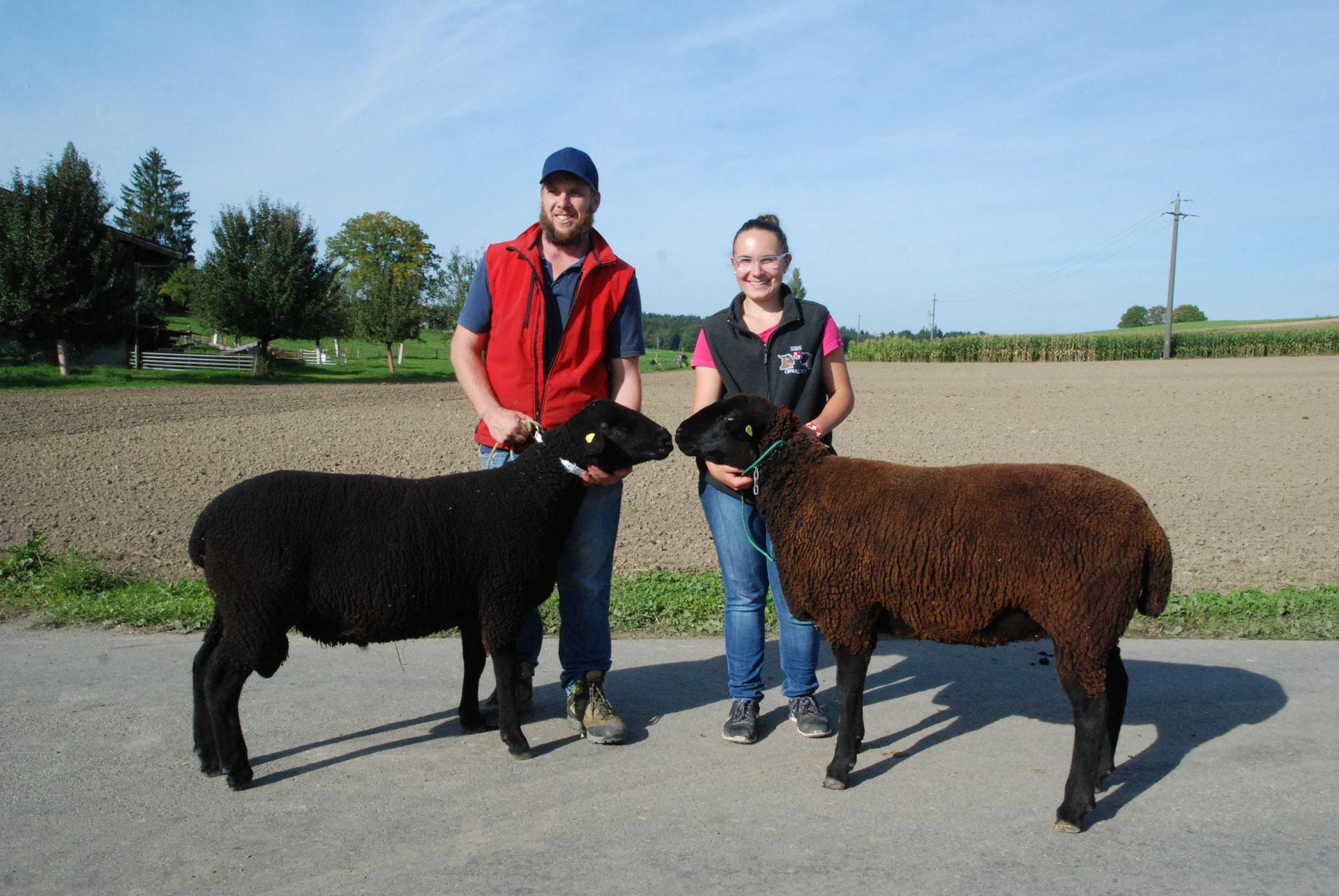 Herbst 2021 - SBS-BNP Schaf