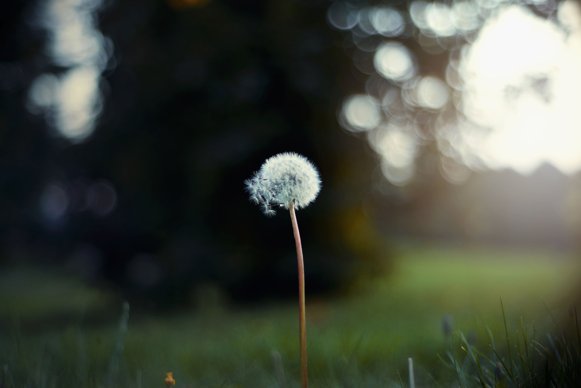 Making sense of feeling lonely - Matters of the Mind Counselling and ...