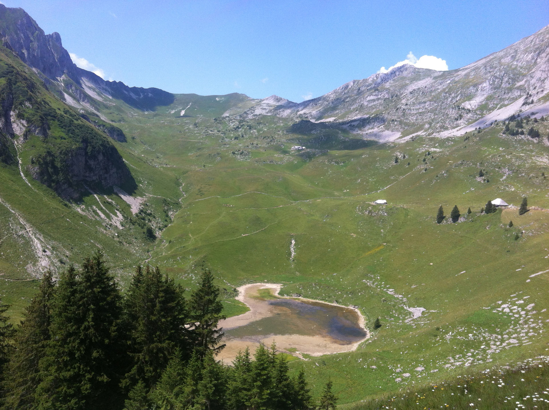 Alp Walop - gutrheinaus Webseite!