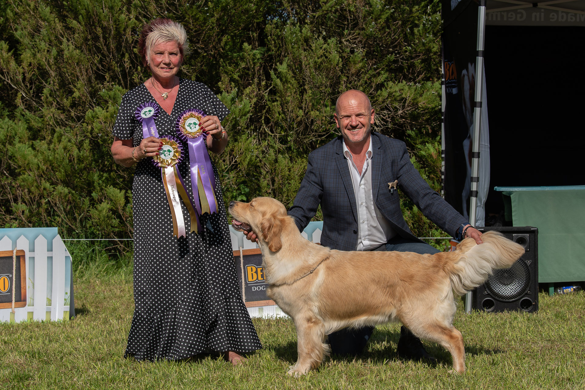 Was ist los in unserer zuchtstätte - Golden Retriever Zucht in Tirol