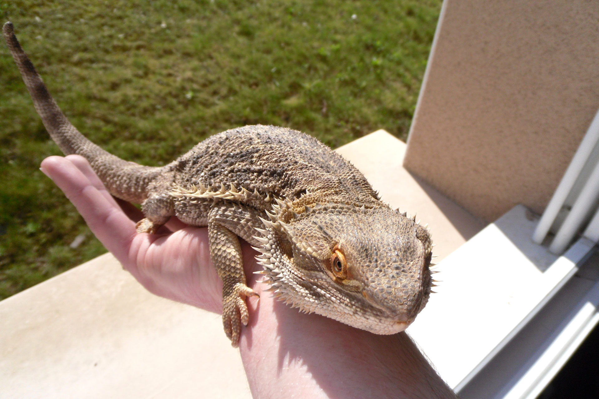 Les Manipulations - Site Jimdo de shadows-passion!