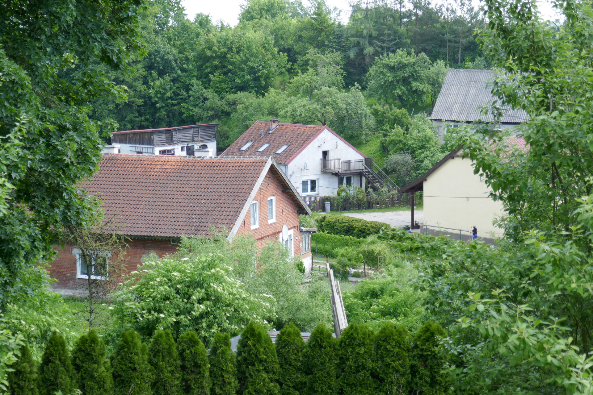 Ermland: Generation 6 - https://www.alfonsgrunenberg.de/