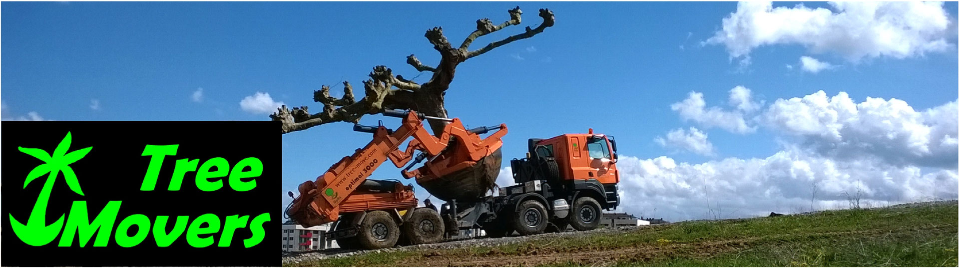 Nuestra Empresa - TRASPLANTE DE ARBOLES GRANDES EJEMPLARES TREE MOVERS ...