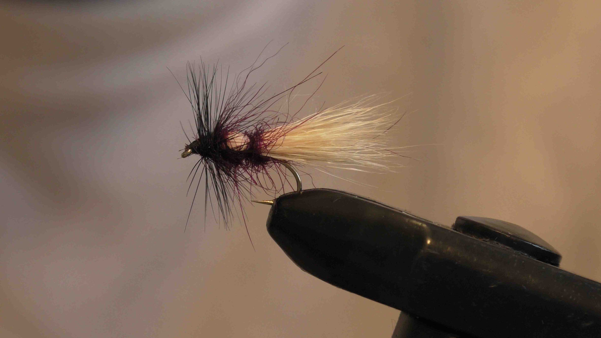 The Gulper Sedge. - Website of wildsidefishing!