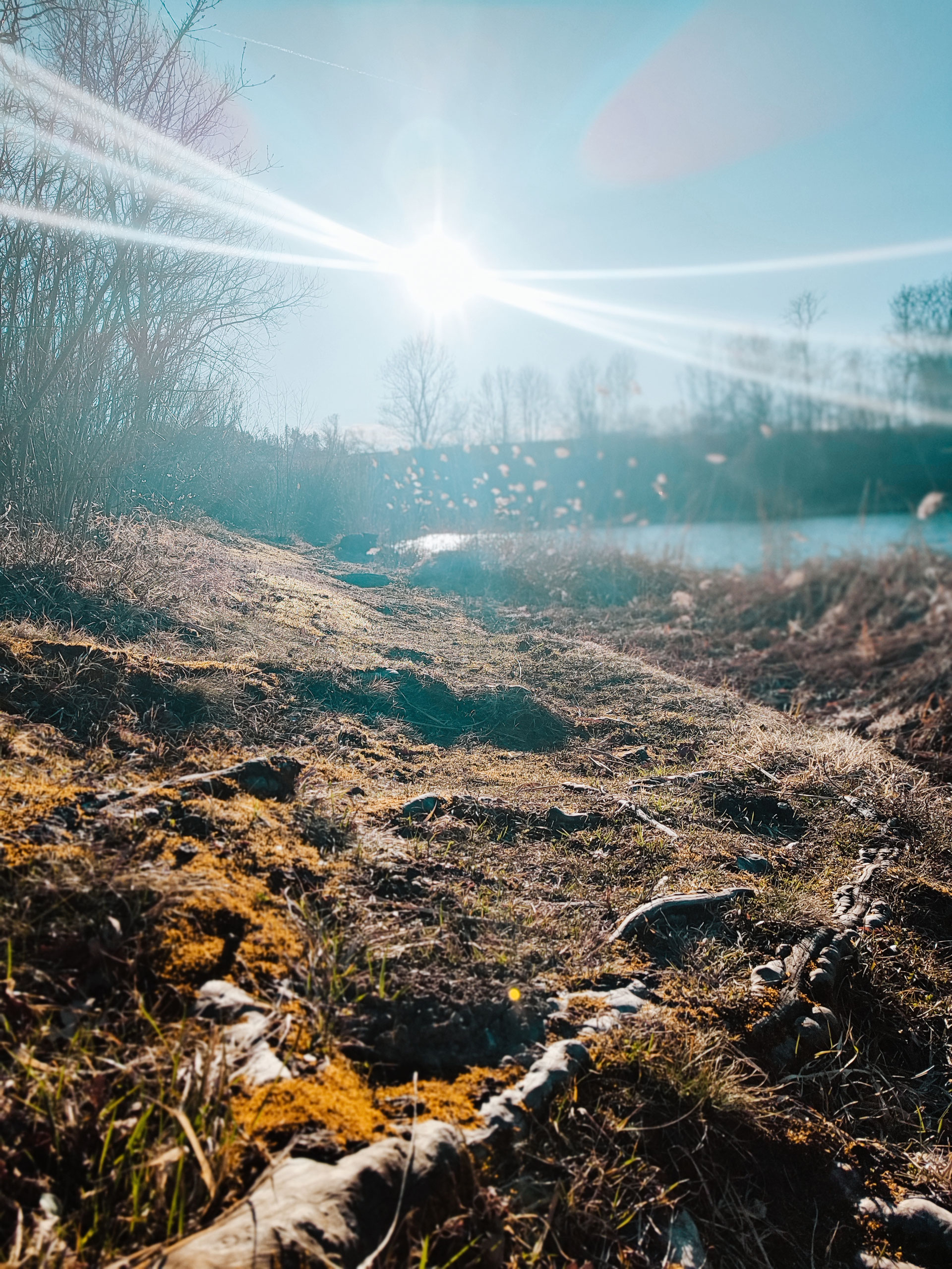 Der Sitzplatz: Ein Ort, um tiefe Naturverbundenheit zu erleben - Reiseblog