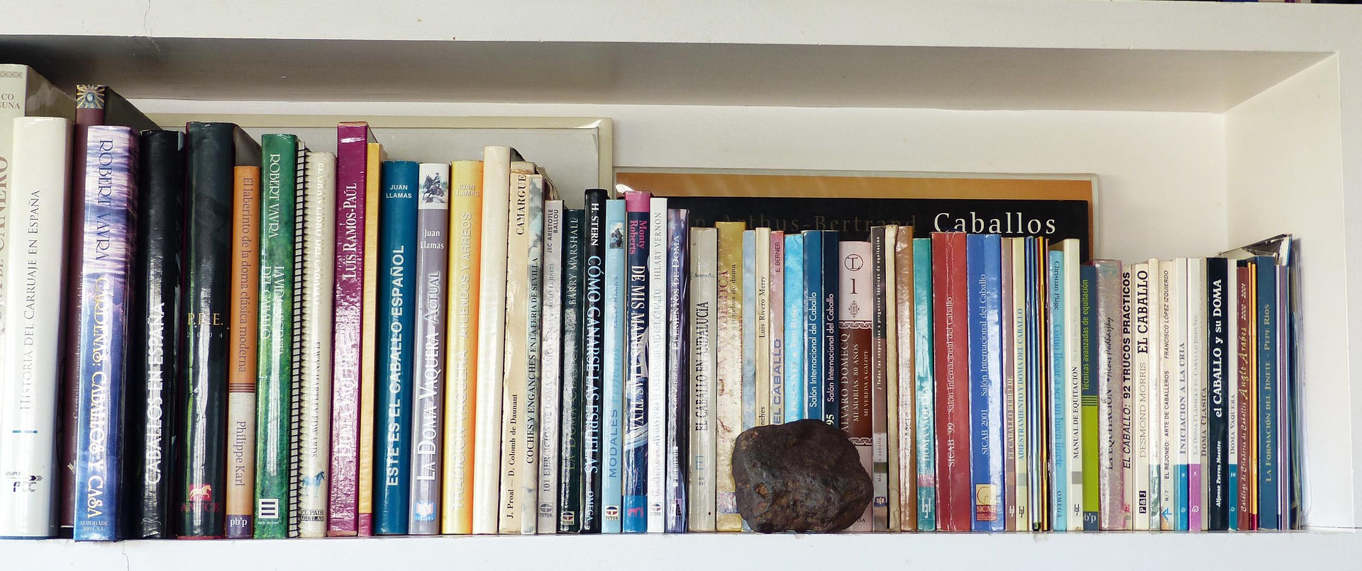 Mis 10 libros esenciales sobre caballos. - Ganaderia Manuel Duque