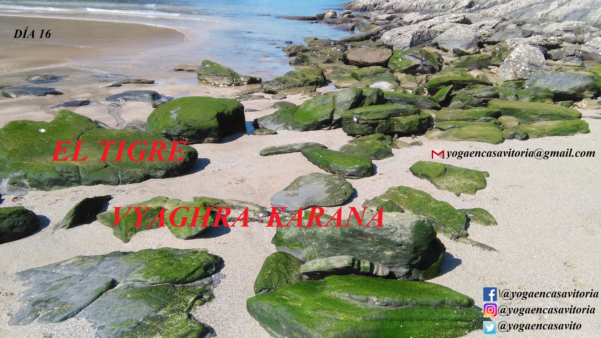 DÍA 16. EL TIGRE - VYAGHRA KARANA. - yoga en casa vitoria