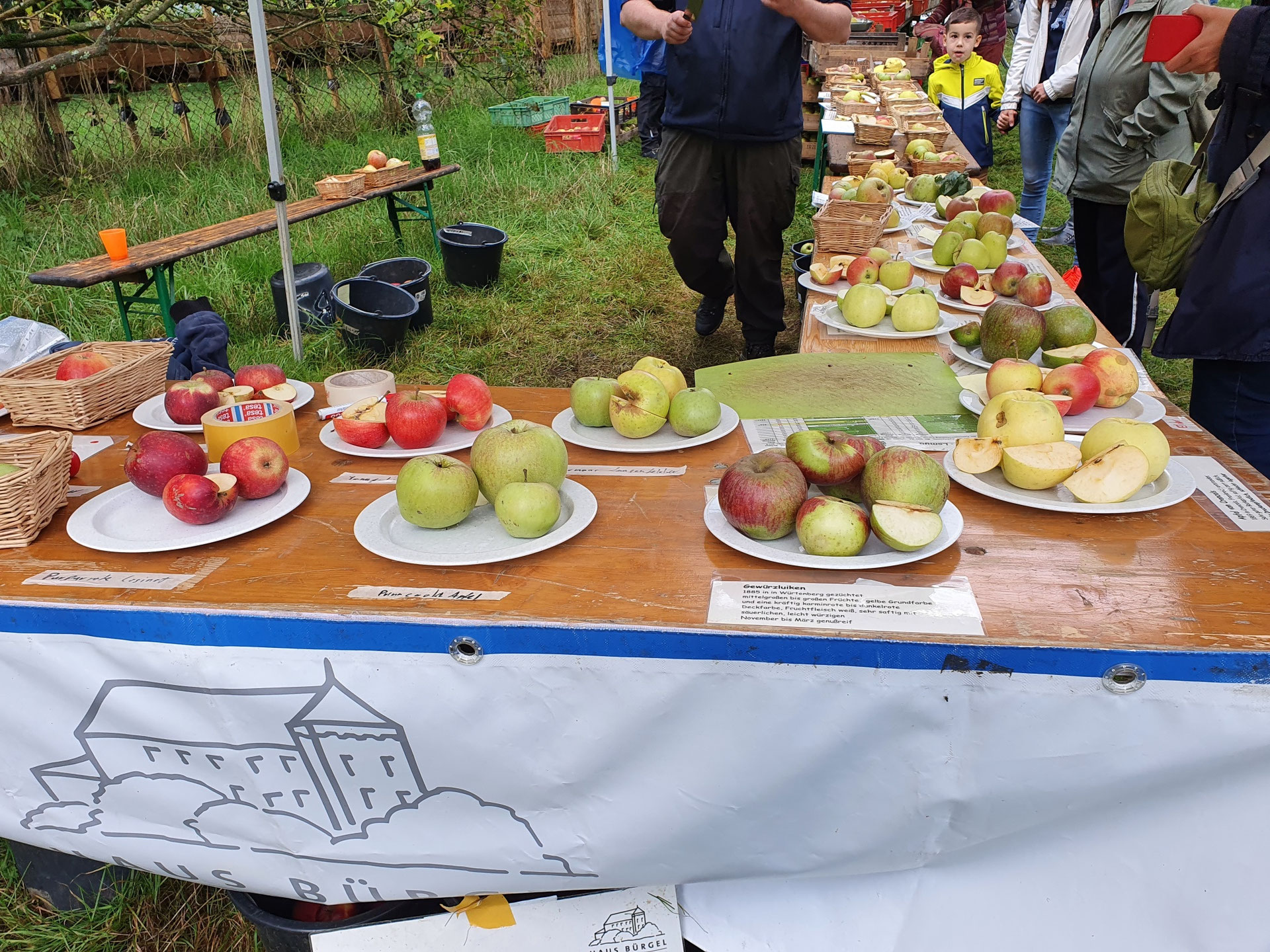Apfelfest Im Alten Land
