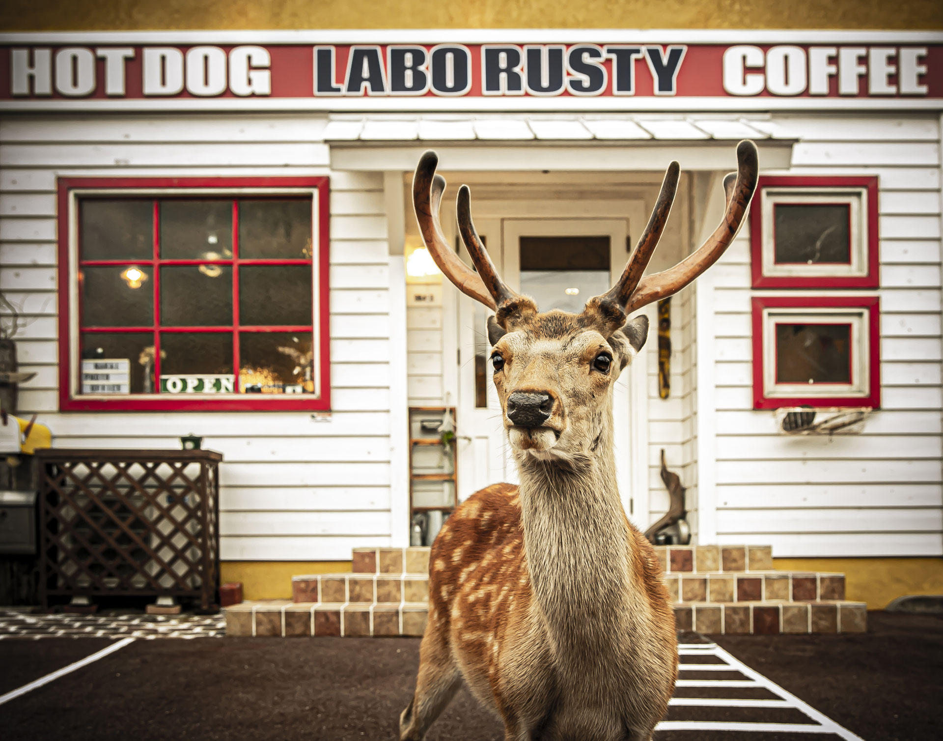 hotdog & coffee Labo Rusty - hotdog & coffee Labo Rusty