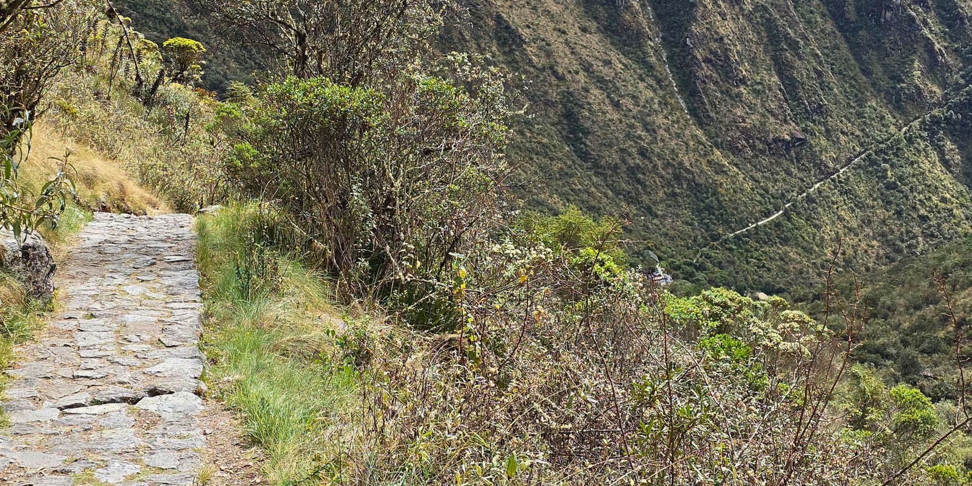 The phenomenal Inca road network which connected an empire - History Skills